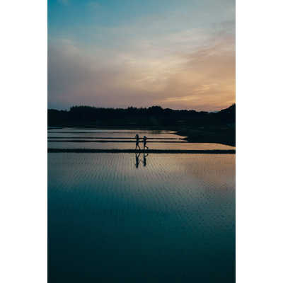シグマ カメラレンズ (ソニーE/APS-C用) Contemporary 18-50mm シグマ カメラレンズ (ソニーE/APS-C用) Contemporary 18-50mm