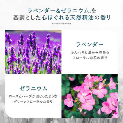 熊野油脂 The Aminorum(ジ アミノラム)シャンプー 本体 ボトル 400mL