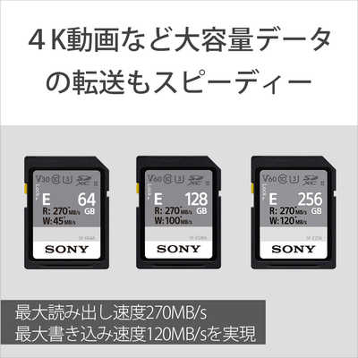 ソニー SONY SDXCカード SF-Eシリーズ (256GB/Class10) SF-E256 の通販