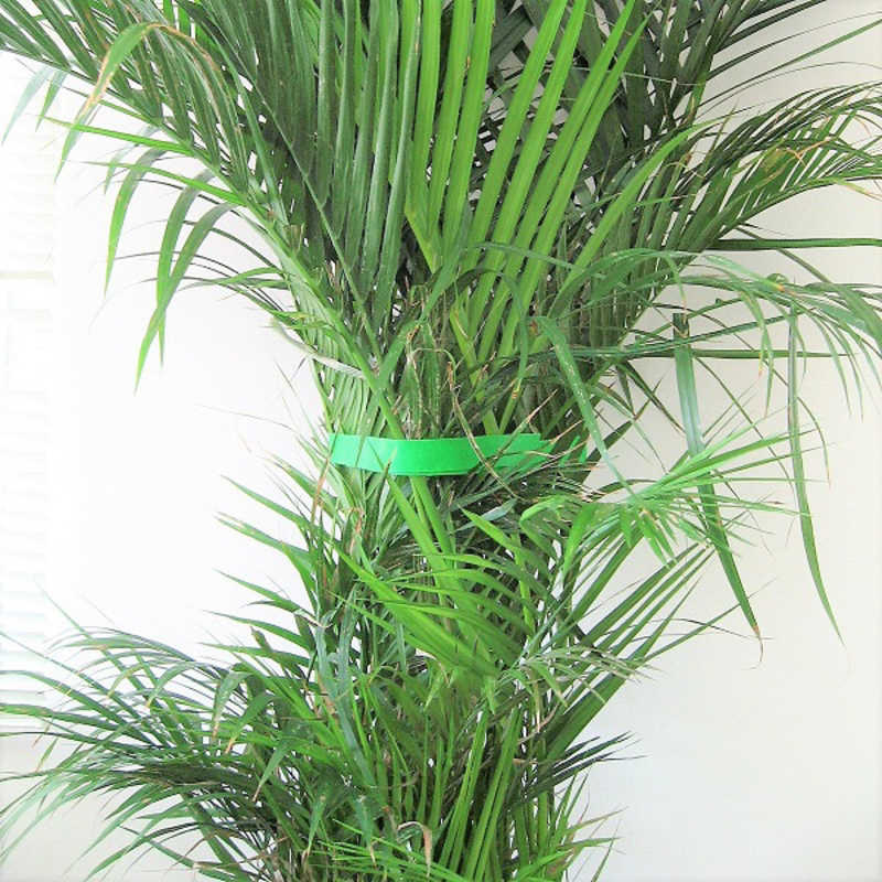 RIPTIE リップラップ 50.8mmX9.14m 1巻 RIP-TIE 黒 G-20-030-BK の通販 - カテゴリ：カメラ・ビデオ ...