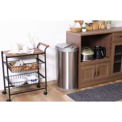 不二貿易 センサｰダストボックス 47L 横開閉式 16196 の通販