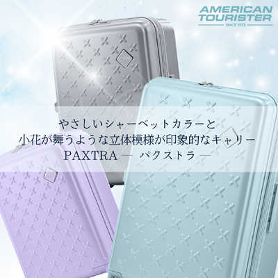 アメリカンツーリスター キャスターストッパー付キャリー 拡張機能付